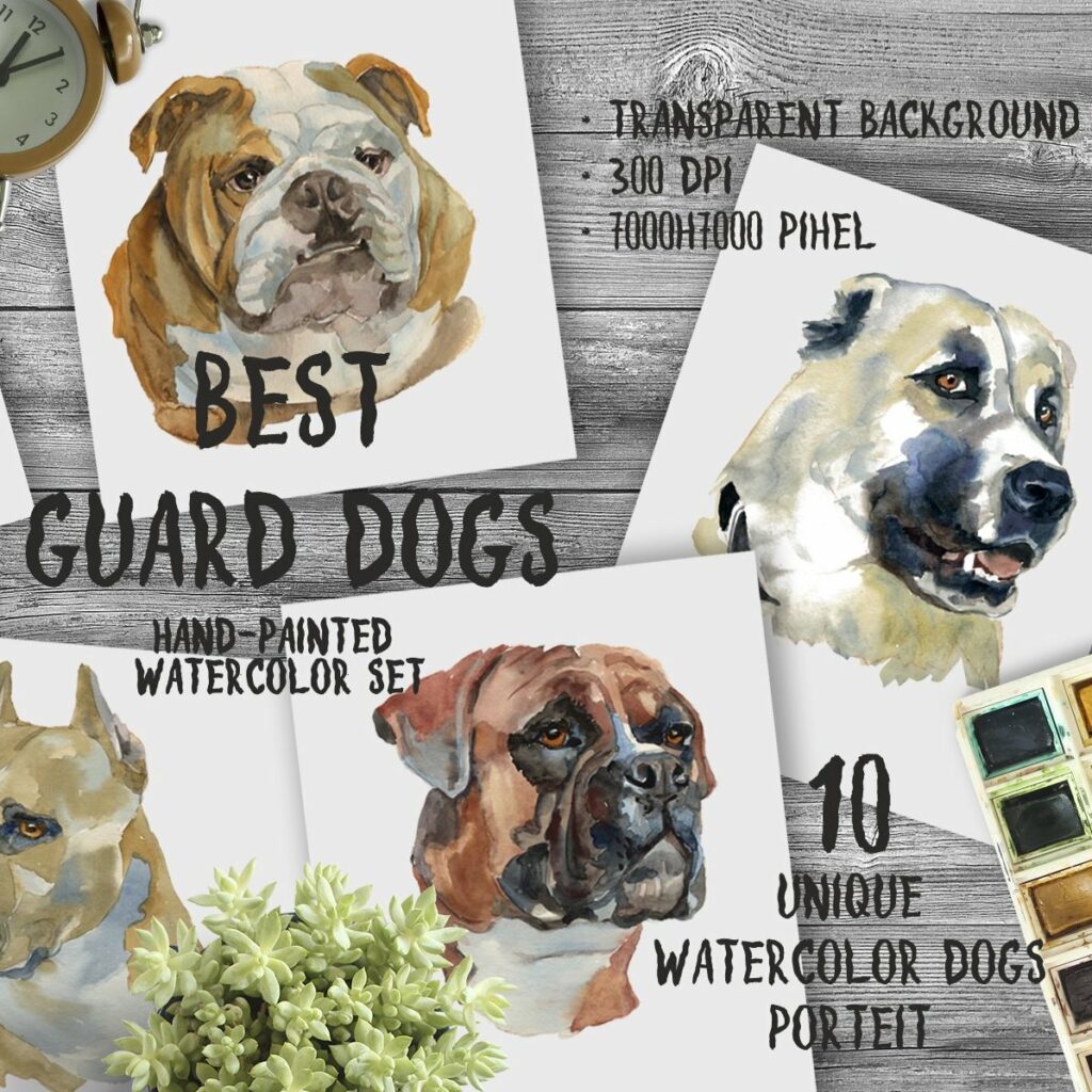 Best Guard Dogs – MasterBundles
