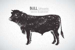 Graphical Bull And Inscription – MasterBundles