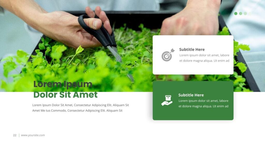 Environmental Engineering Presentation Template – MasterBundles