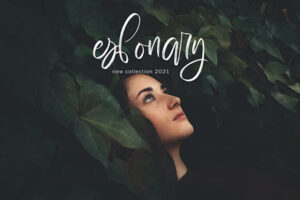 Fahrimes Modern Light Script Font – MasterBundles