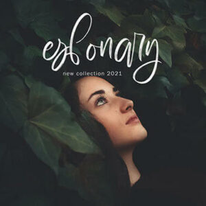 Fahrimes Modern Light Script Font – MasterBundles