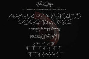 FonttSetya Flowing Handwriting Script Font | Master Bundles