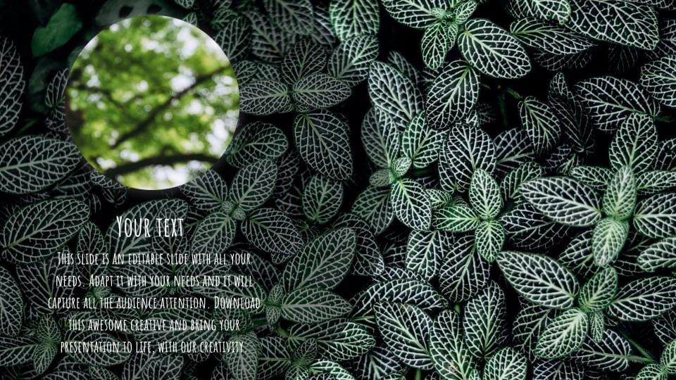 Free Elegant Nature Powerpoint Background Design | Master Bundles