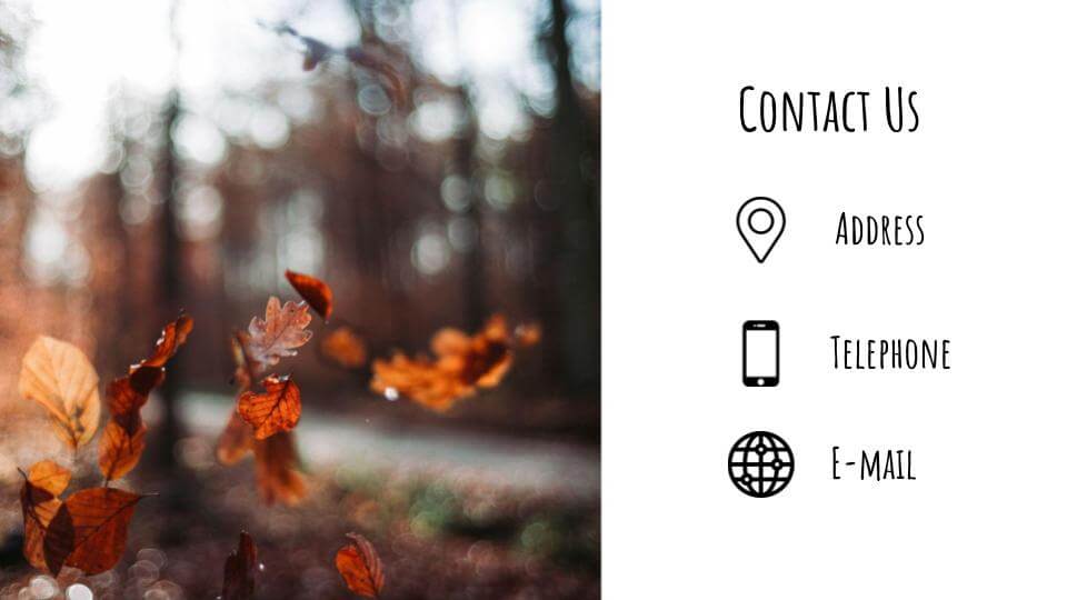 Free Fall Autumn Worship Powerpoint Background | Master Bundles