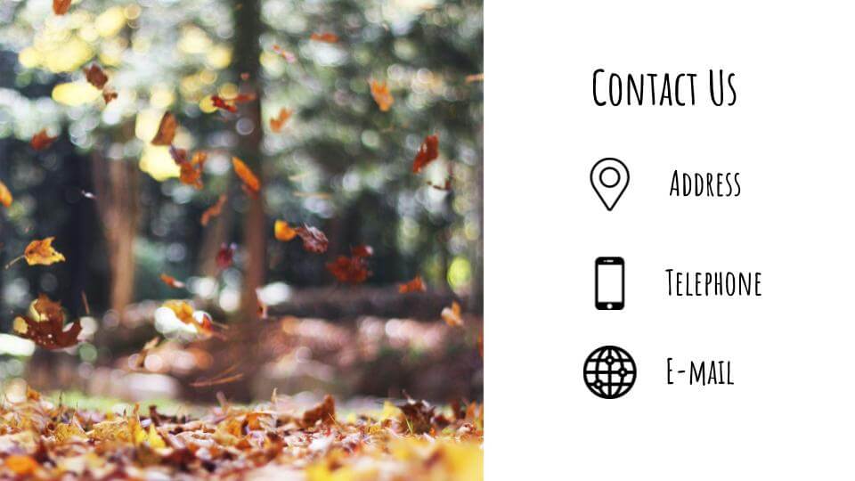 Free Fall Background For Powerpoint | Master Bundles