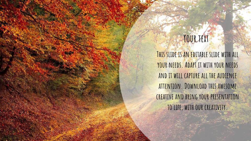 Free Fall Background Images For Powerpoint | Master Bundles