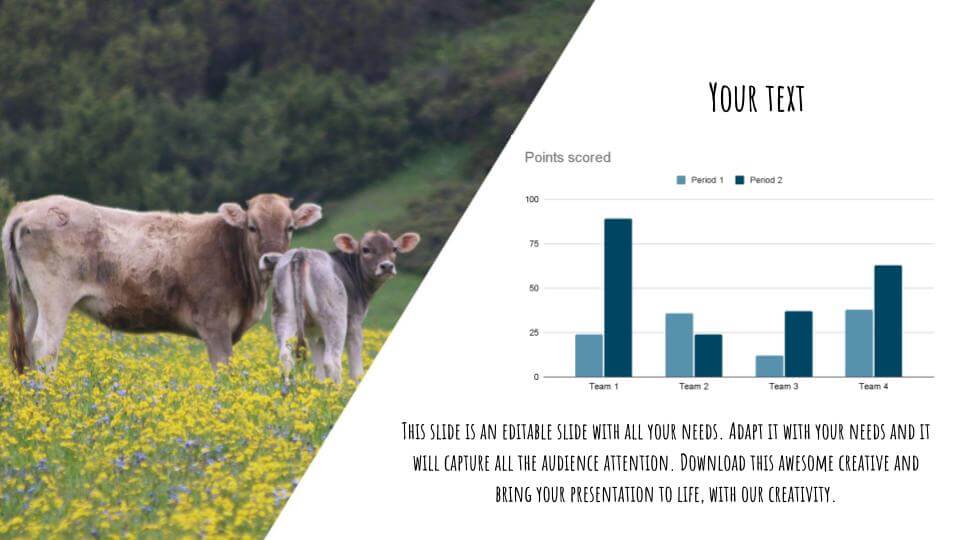 Free Nature Animal Powerpoint Background | Master Bundles