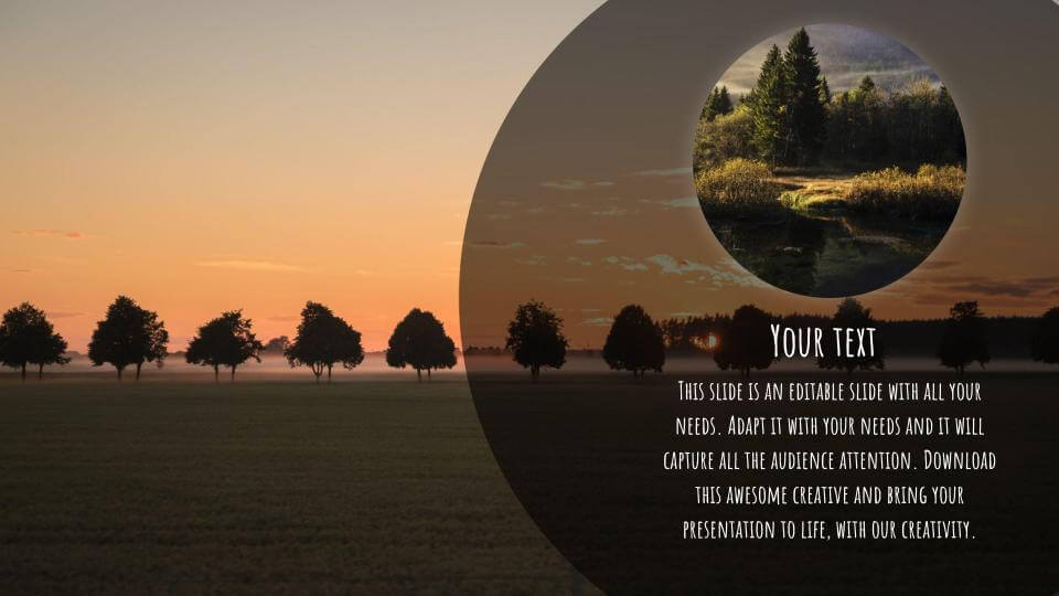 Free Nature Background For Powerpoint – MasterBundles