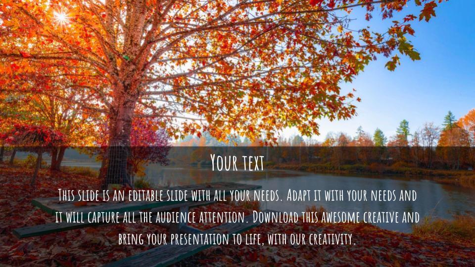 Free Powerpoint Background Fall | Master Bundles