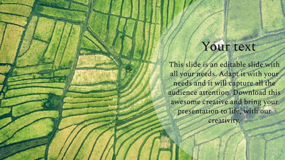 Free Powerpoint Green Environment Background | Master Bundles