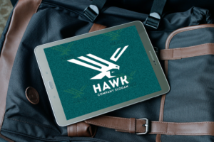 Hawk Logo – MasterBundles