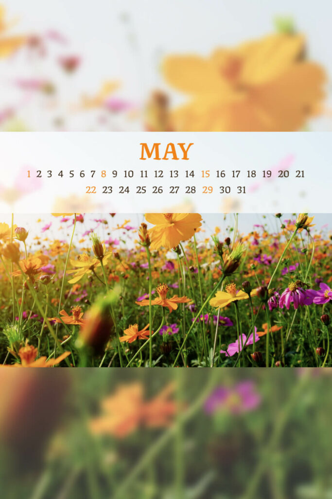 Free Wild Flowers Editable May Calendar – MasterBundles