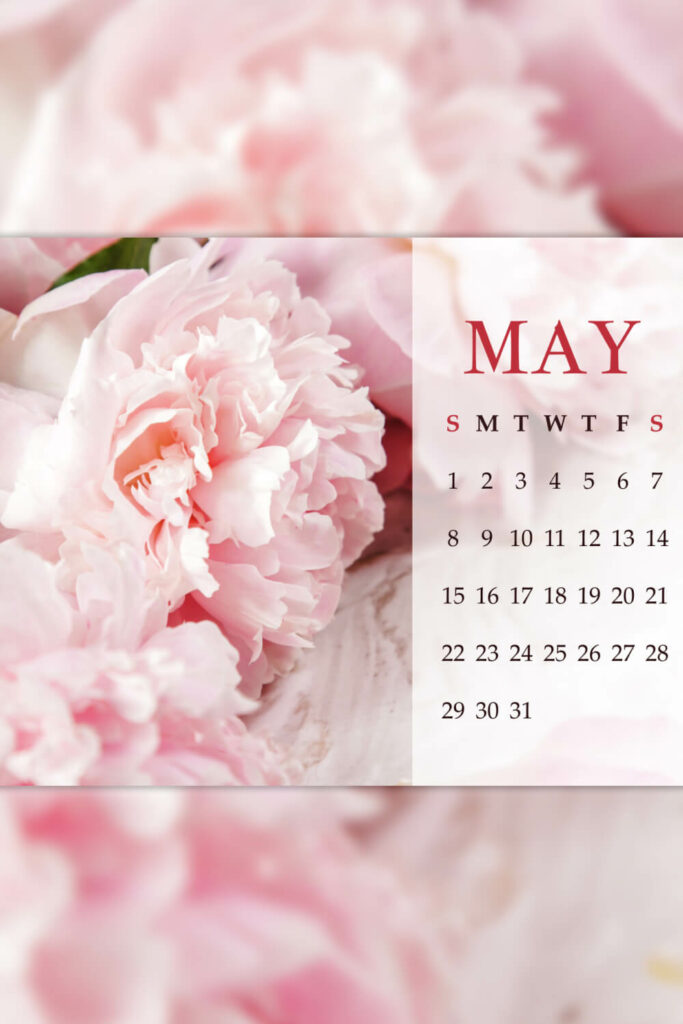 Free Peony Editable May Calendar – MasterBundles