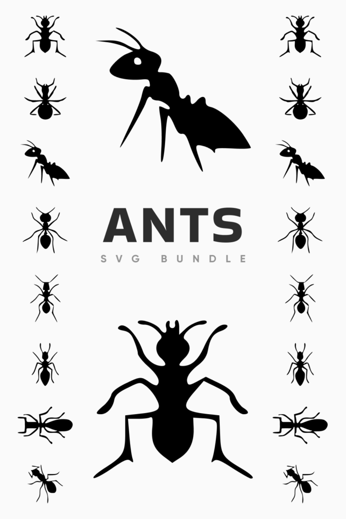 Ants SVG Bundle: 8 Files | MasterBundles
