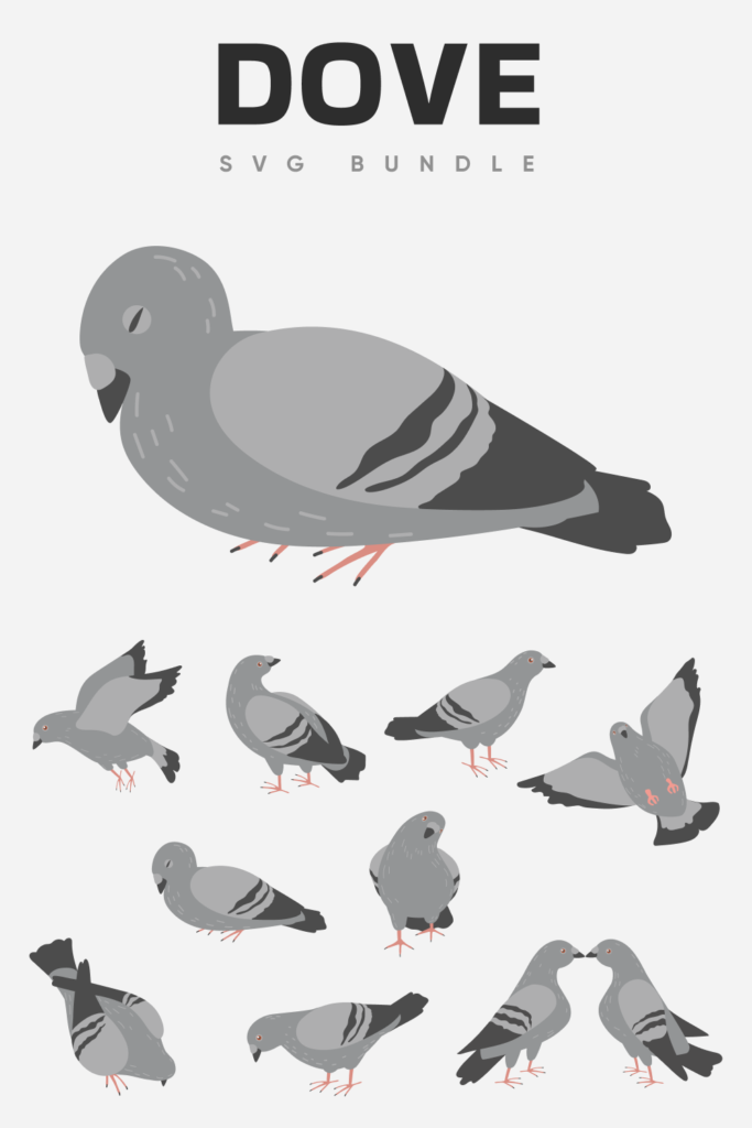 Dove SVG Bundle | Master Bundles