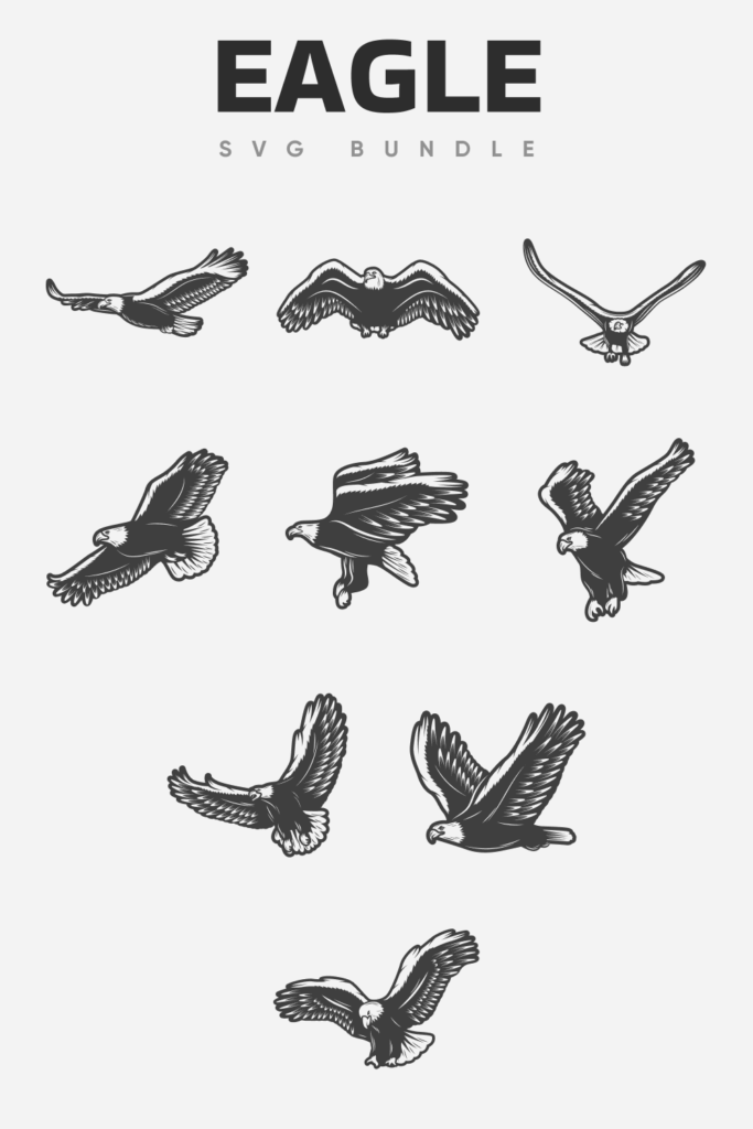 Eagle SVG Bundle | MasterBundles