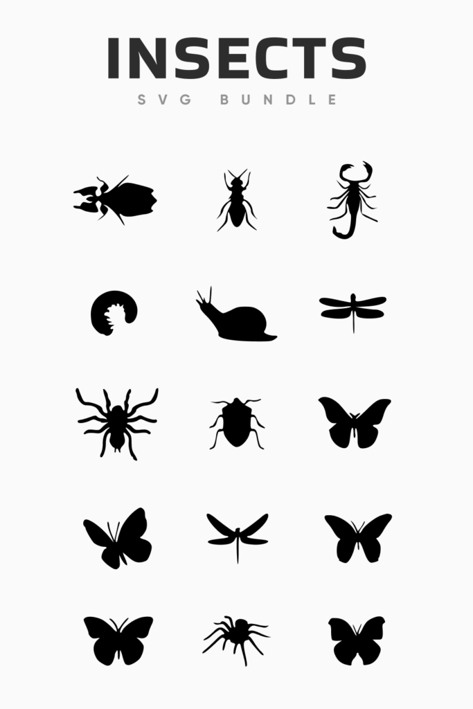 Insects V2 SVG Bundle | Master Bundles