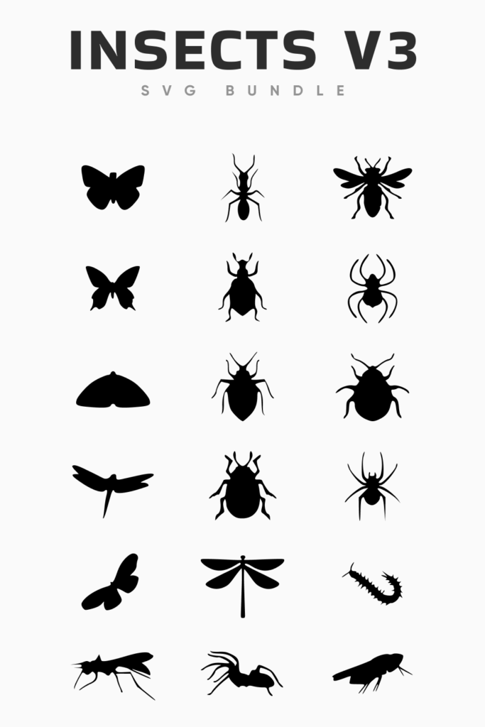 Insects V3 SVG Bundle: 19 Files | Master Bundles
