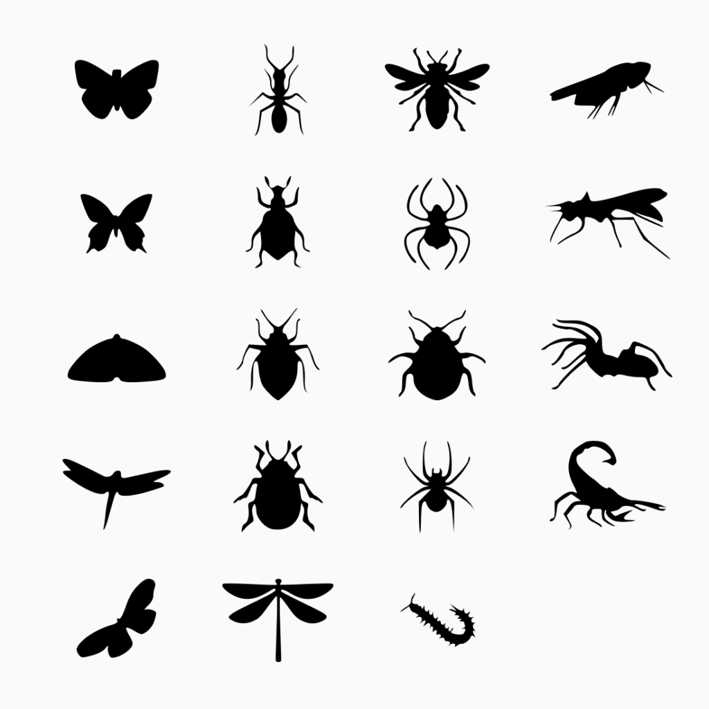 Insects V3 SVG Bundle: 19 Files – MasterBundles