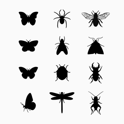 Insects V4 SVG Bundle: 12 Files – MasterBundles