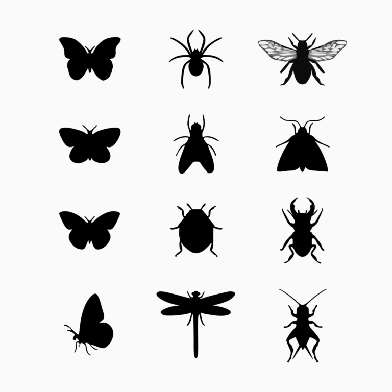 Insects V4 SVG Bundle: 12 Files – MasterBundles