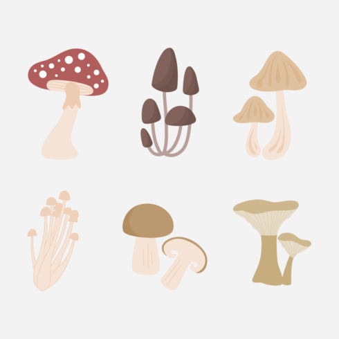 Mushroom SVG Bundle: 6 Files – MasterBundles