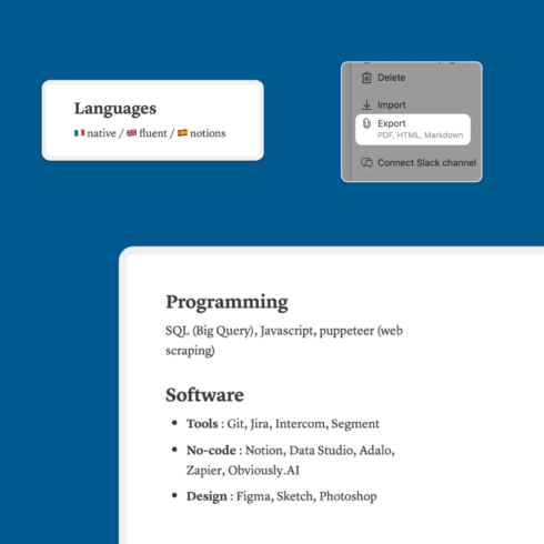 Serious Resume CV – MasterBundles