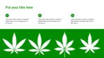 Free Medical Marijuana Powerpoint Template | Master Bundles