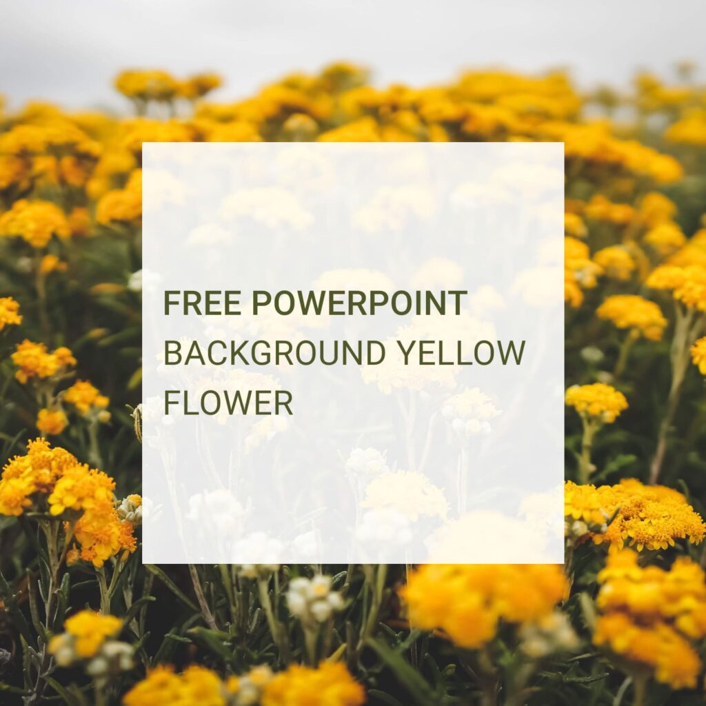 Free Powerpoint Background Yellow Flower – MasterBundles