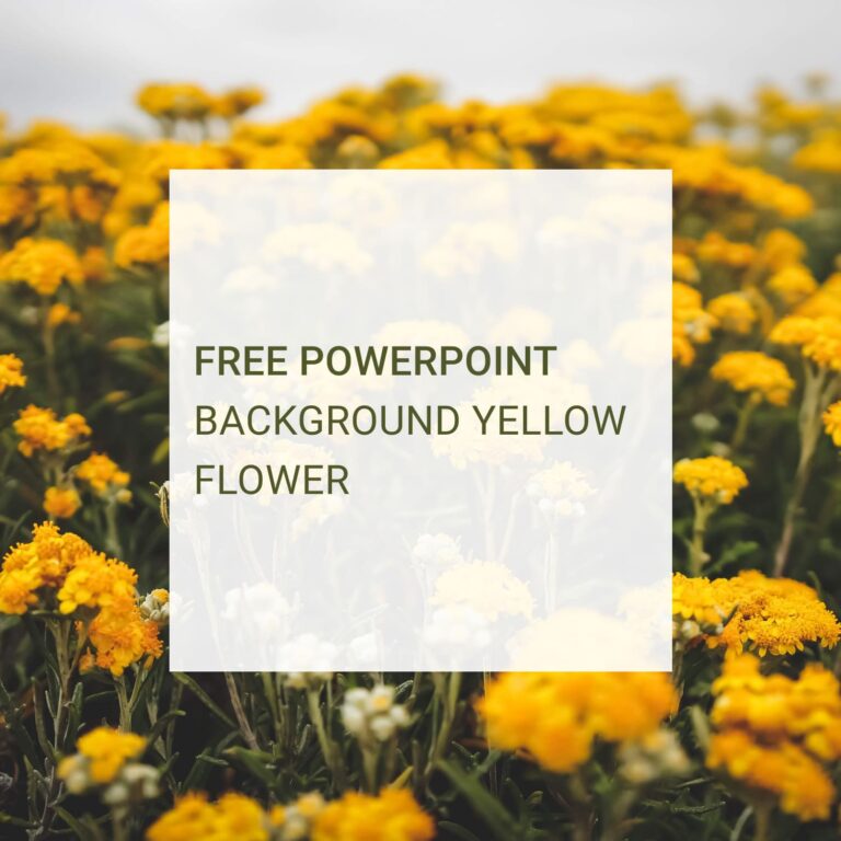 Free Powerpoint Background Yellow Flower – MasterBundles