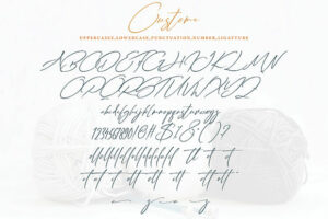 Custome Delicate Handwritten Font – MasterBundles
