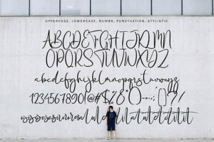 Darita Sent Delicate Script Font – MasterBundles