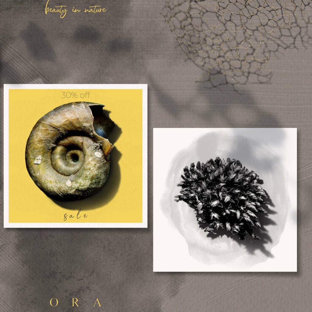 Ora - Ink & Nature Organic Graphics Collection – MasterBundles