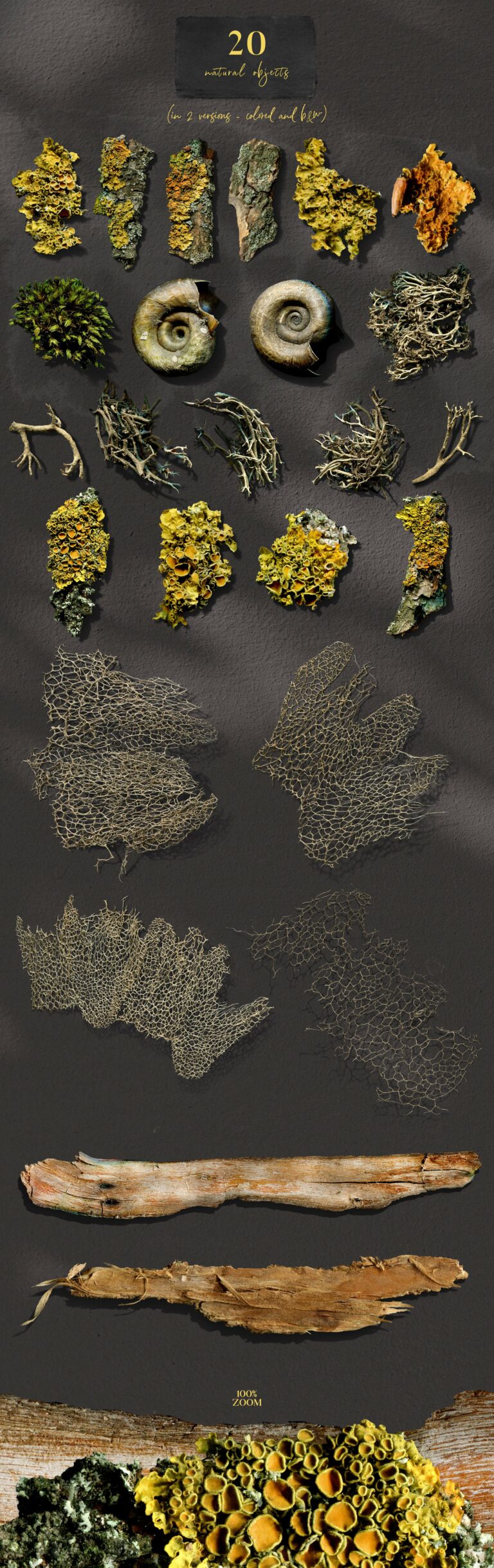 Ora - Ink & Nature Organic Graphics Collection – MasterBundles