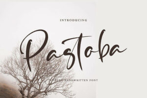 Pastoba Gorgeous And Light Script Font | Master Bundles