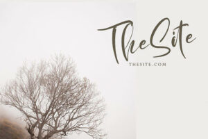 Pastoba Gorgeous And Light Script Font | Master Bundles