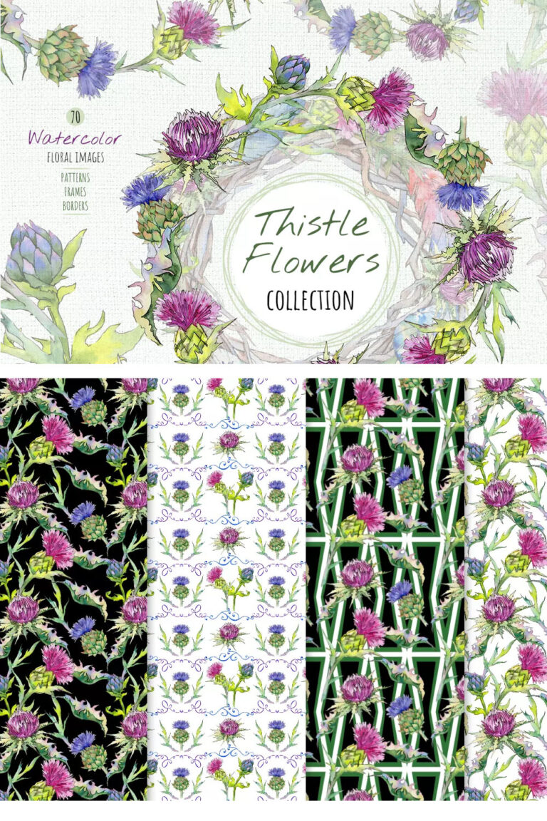 Thistle Flowers Collection PNG Watercolor Set – MasterBundles