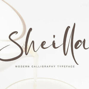Sheilla Modern And Fresh Handwritten Font – MasterBundles