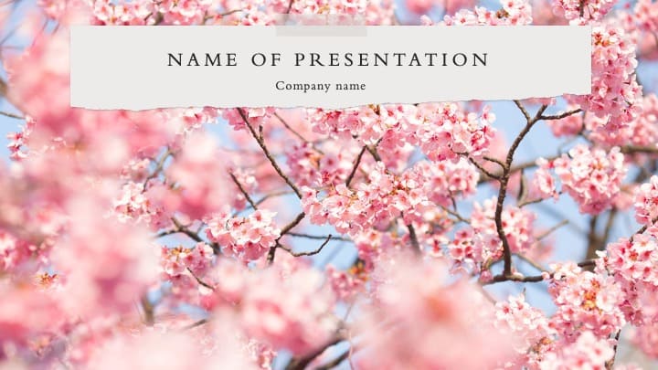 Free Spring Flowers Powerpoint Template | Master Bundles