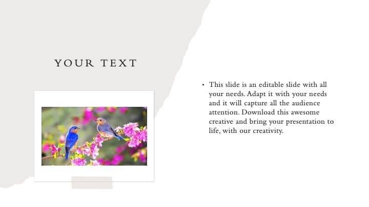 Free Spring Flowers Powerpoint Template | Master Bundles