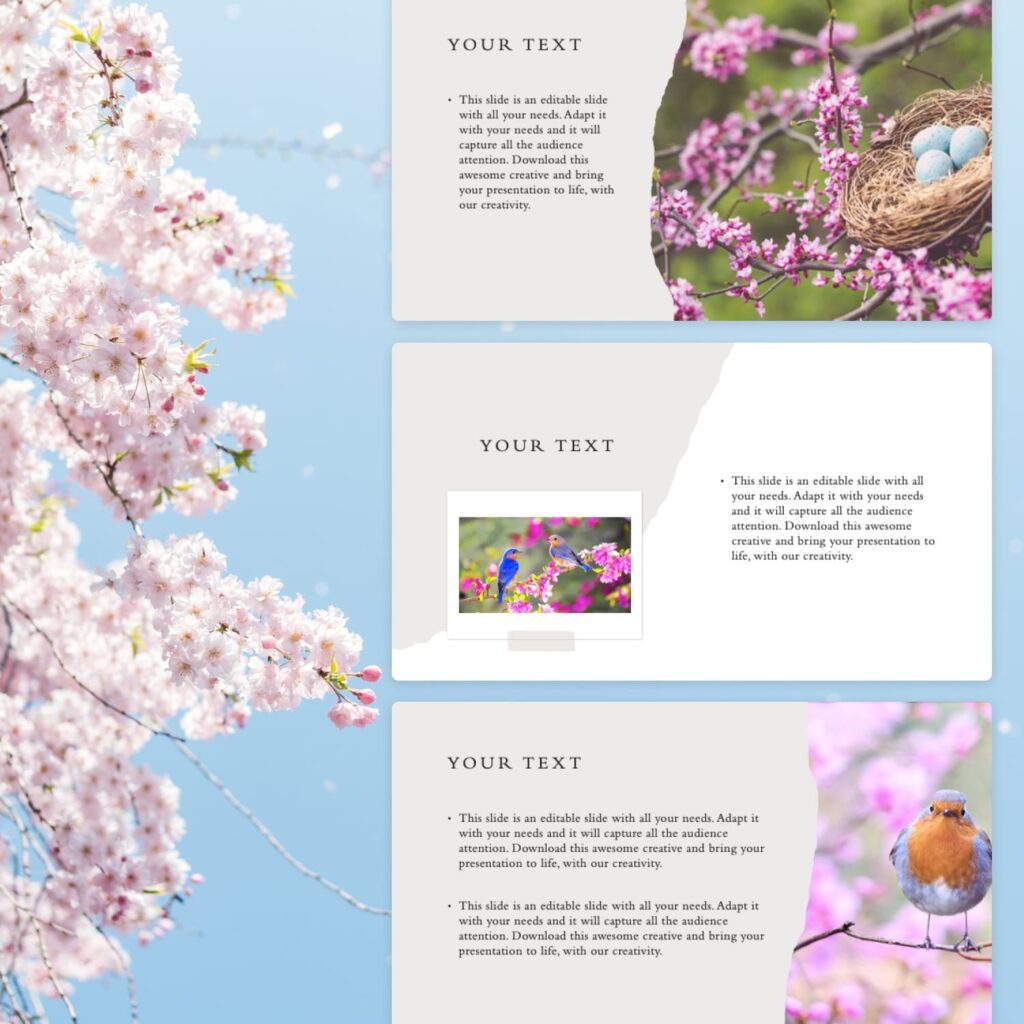 Free Spring Flowers Powerpoint Template – MasterBundles