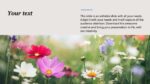 Spring Flowers Powerpoint Template Free | Master Bundles