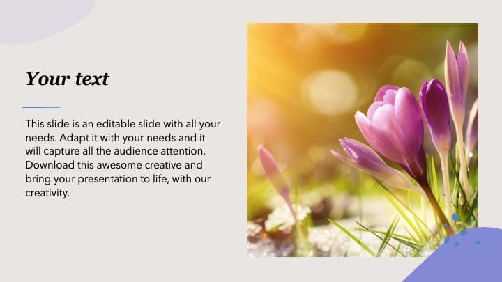 Spring Flowers Powerpoint Template Free – MasterBundles