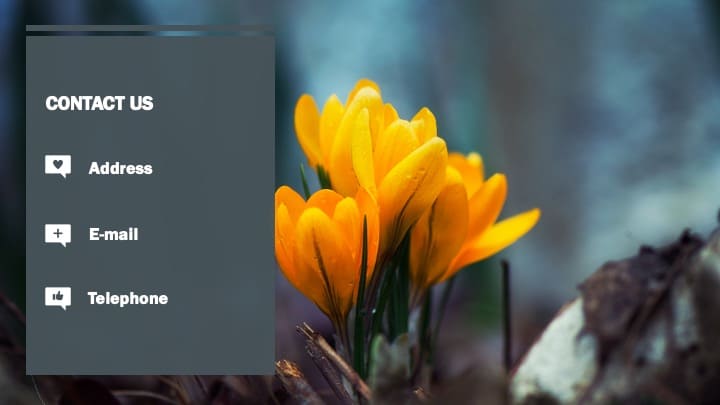 Spring Powerpoint Template Free | Master Bundles