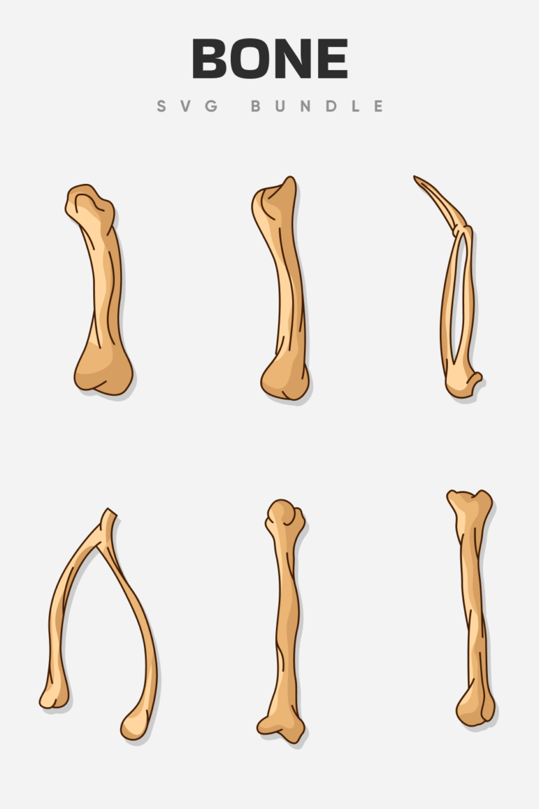 Bone SVG: 6 Designs – MasterBundles