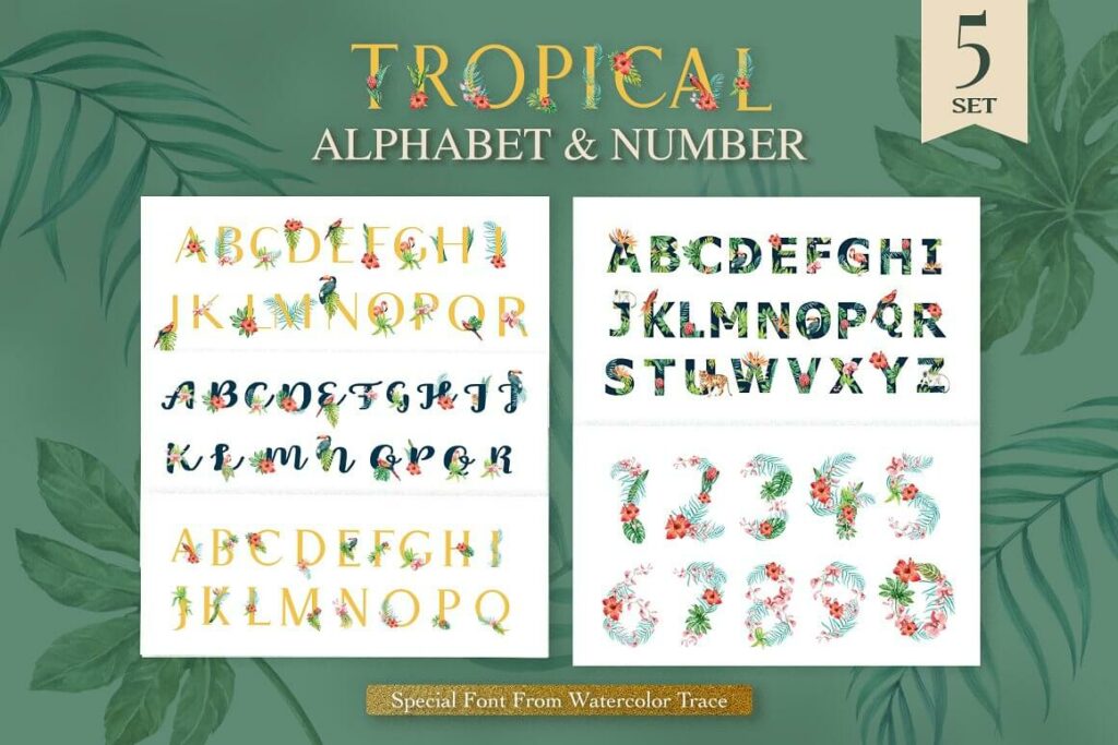 Tropical Alphabet & Number Watercolor – MasterBundles