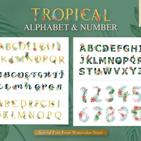 Tropical Alphabet & Number Watercolor | Master Bundles