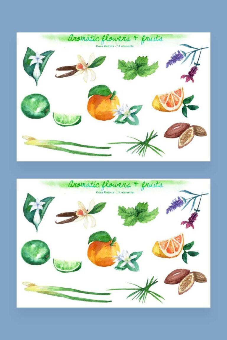 Aromatic Plants and Fruits Set – MasterBundles