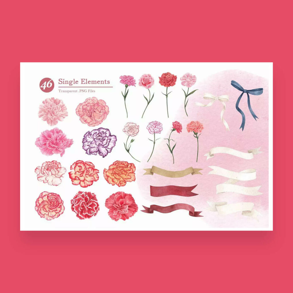 Carnation Flowers Watercolor – MasterBundles