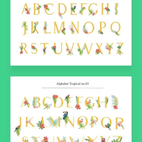 Tropical Alphabet & Number Watercolor | Master Bundles